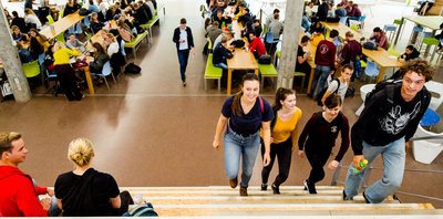 HBO Monitor: VHL graduates look back with satisfaction