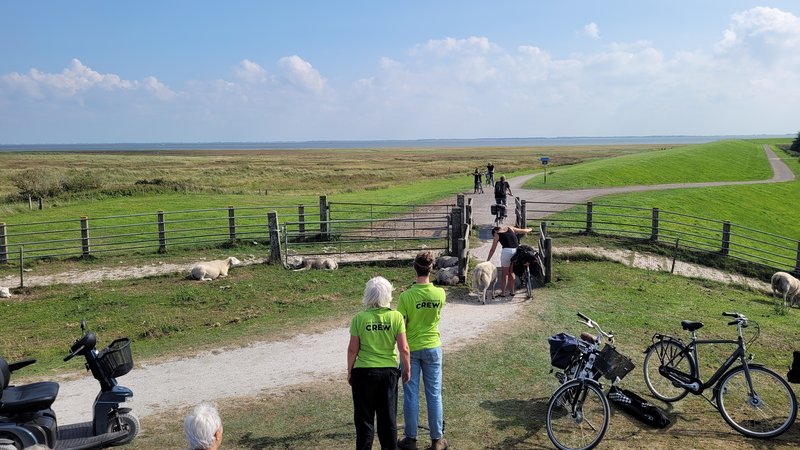 project-Levende-Dijken