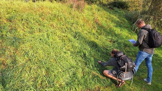 Sods for the (Green) Dike