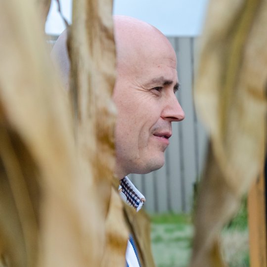 Sustainable Soil Management